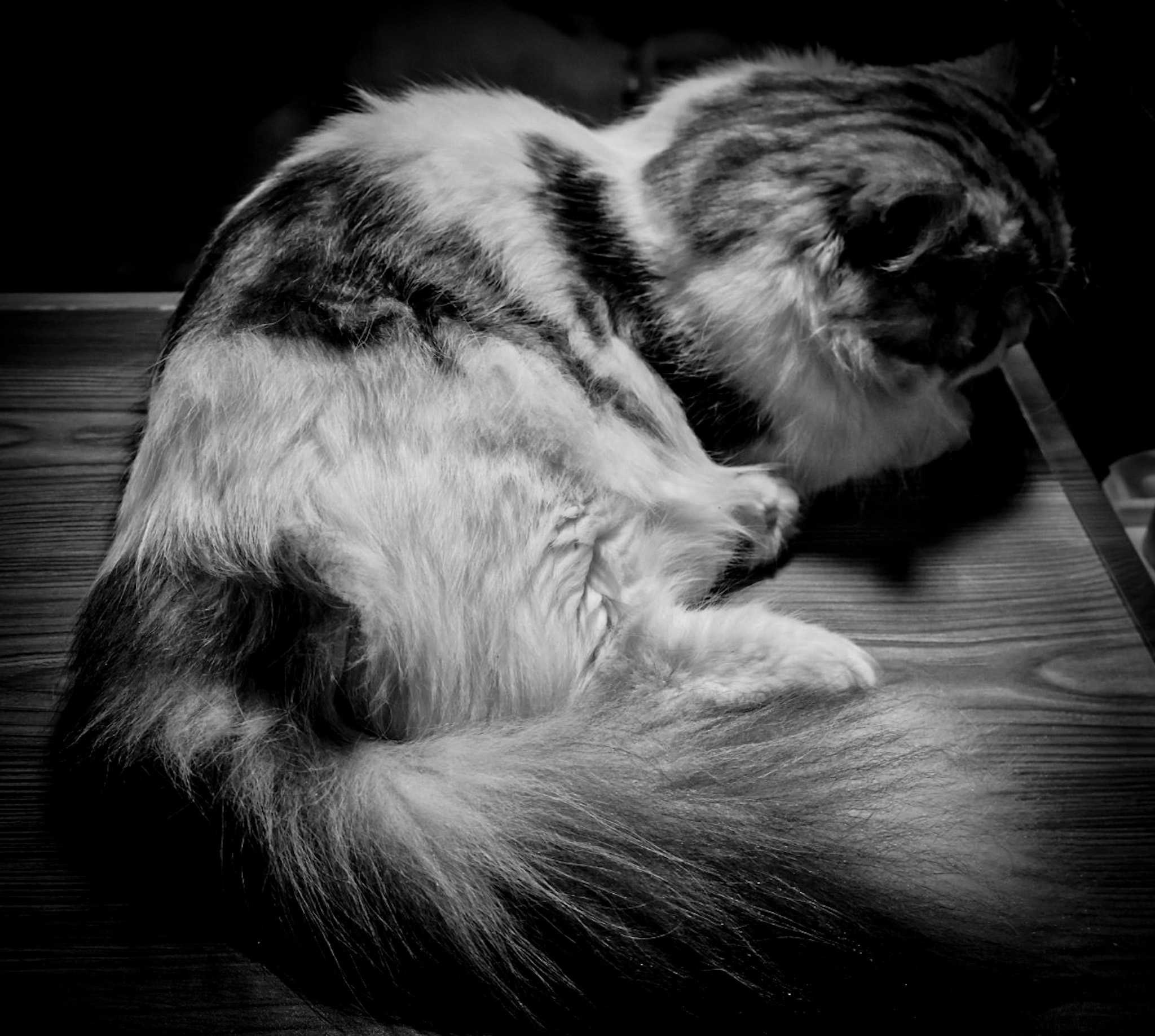 Anzila Laikhuram - Portfolio